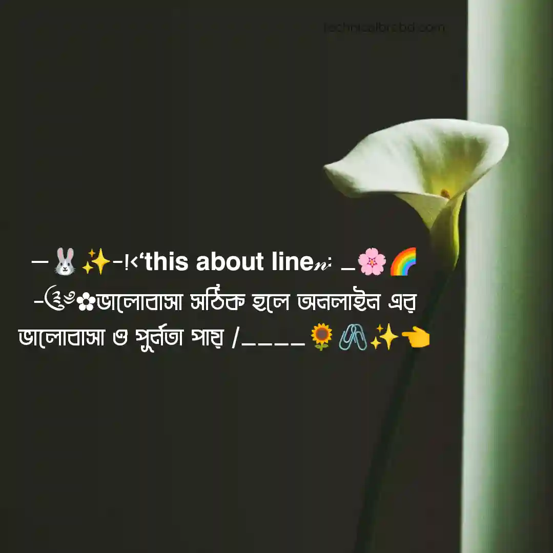 300+ স্মার্ট ফেসবুক স্ট্যাটাস ও ক্যাপশন - BEST Facebook Status Bangla ...