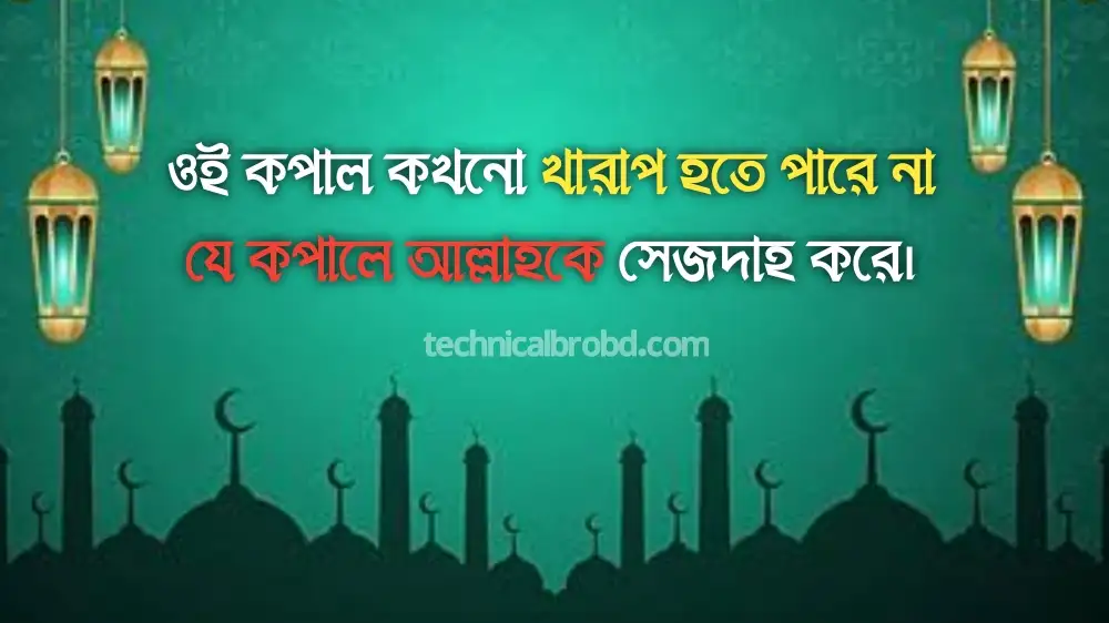 সেরা ৫০টি কোরআন হাদিসের বাণী, ইসলামিক বাণী ও উপদেশ » Technical Bro BD